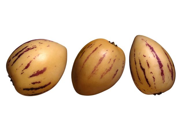 Para que serve o pepino doce? – Arquivo Espaço Ecológico