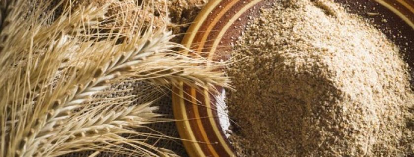 farinha de trigo integral - Alimentação Saudável - Alimentos Saudáveis